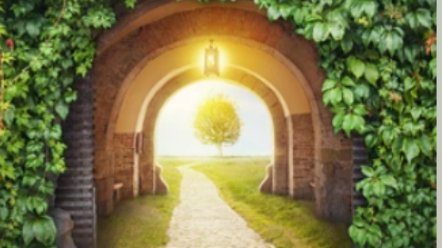 ブログ始めました！｜Mikakb｜coconalaブログ